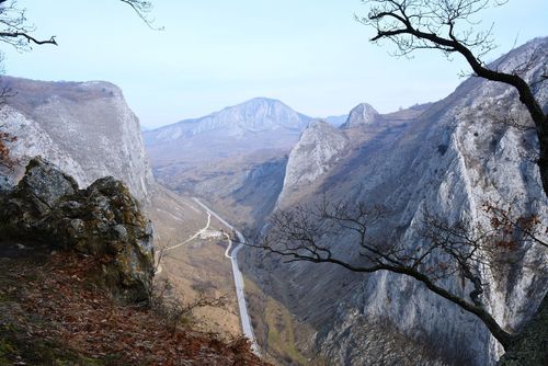 Primaria Horea judetul Alba – Pagina oficiala a Primariei Comunei Horea ...